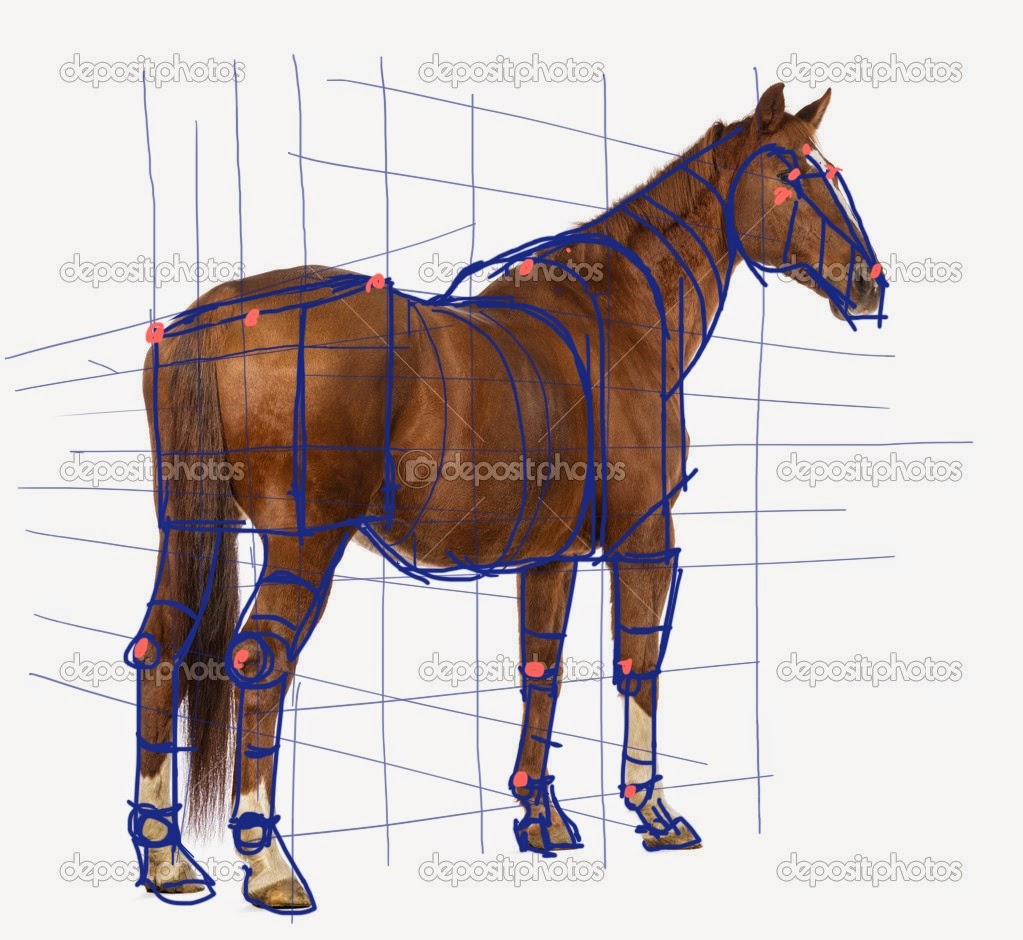 Louis learns to draw: Animal Drawing Week 1