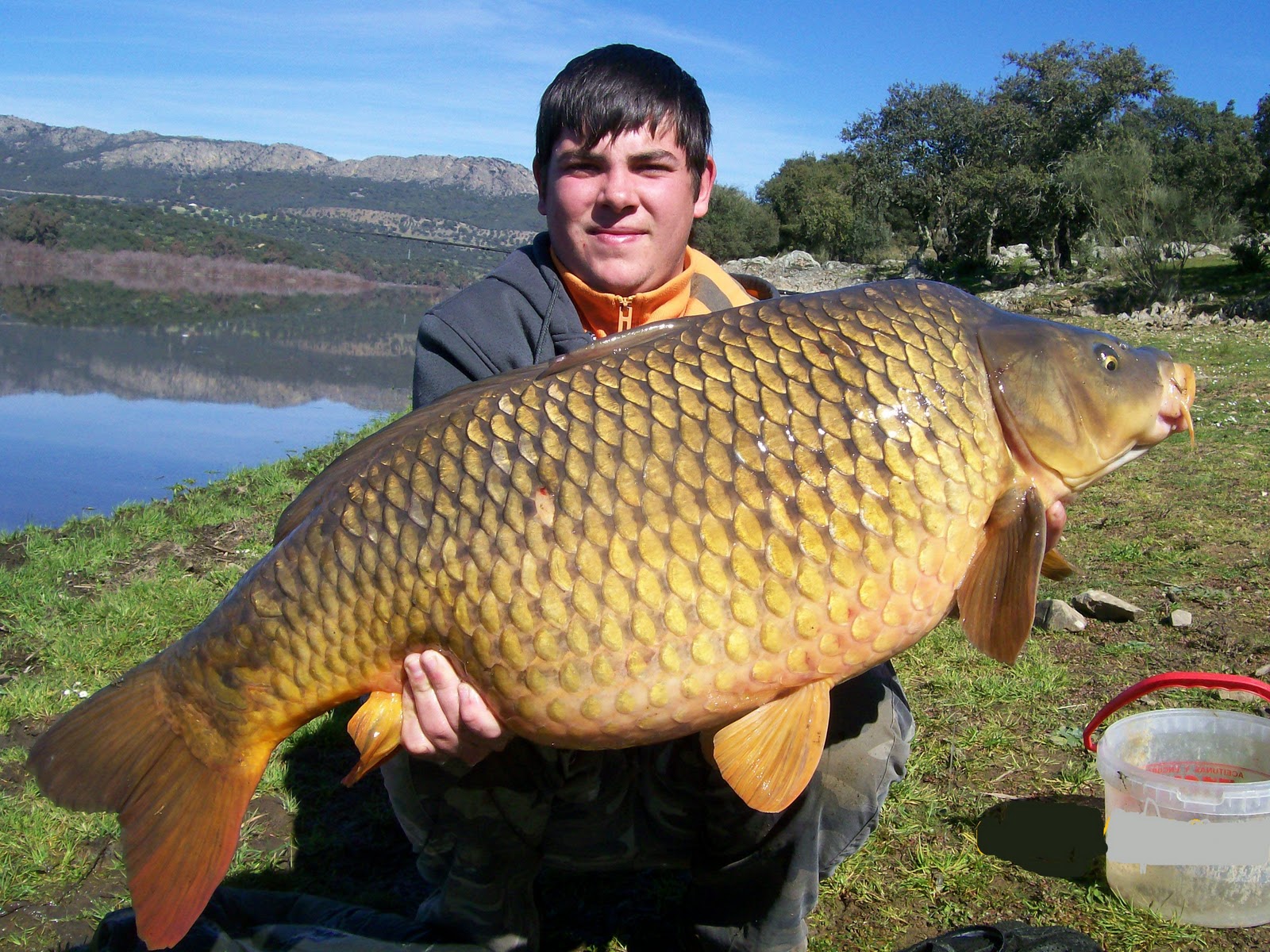 fotos pesca de agua dulce: Carpas