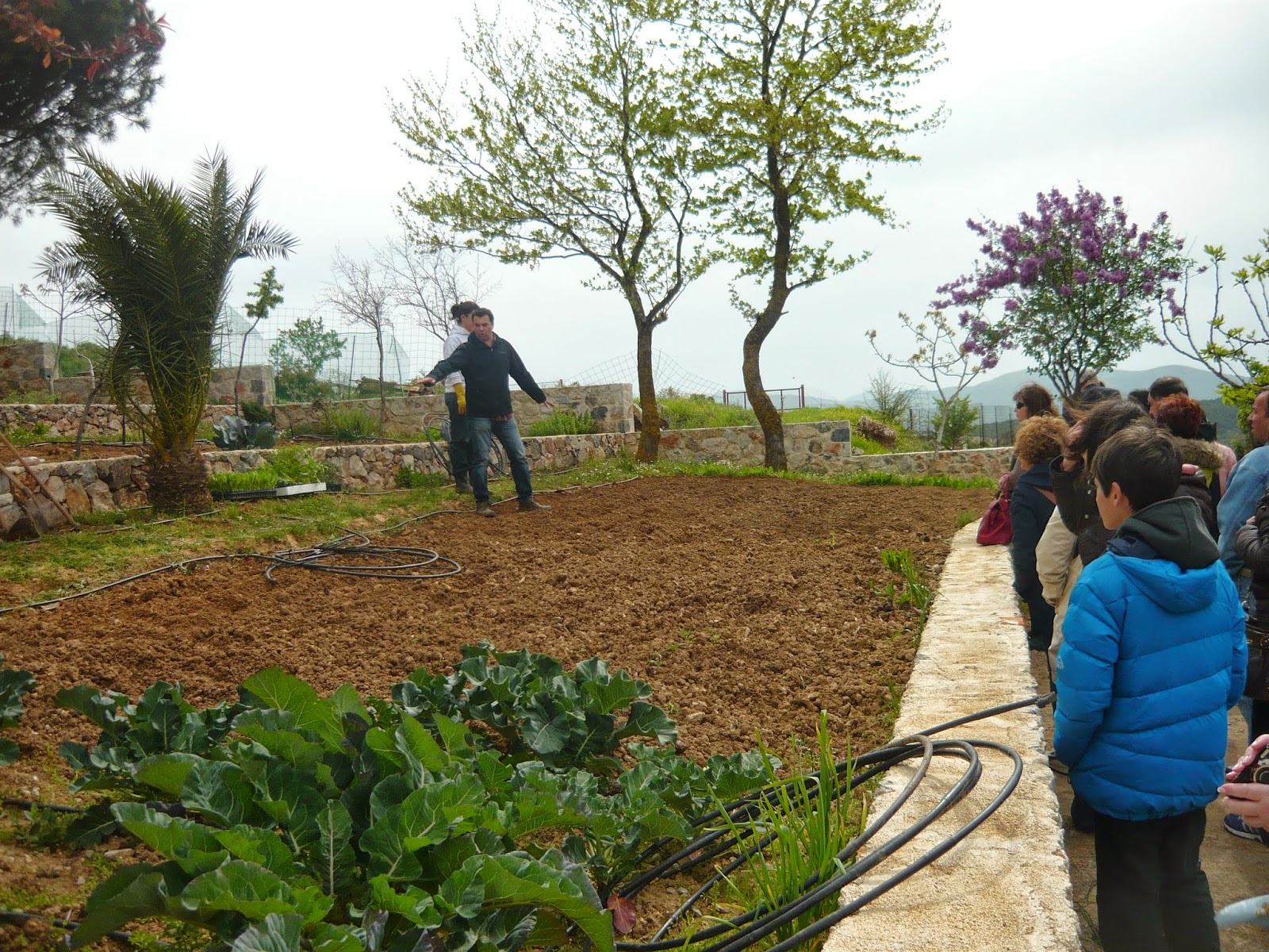 ΣΧΟΛΙΚΟΙ ΛΑΧΑΝΟΚΗΠΟΙ : ΟΙ ΚΗΠΟΙ ΤΩΝ ΣΧΟΛΕΙΩΝ ΤΗΣ Δ/ΣΗΣ Β/ΘΜΙΑΣ ΕΚΠ/ΣΗΣ ...