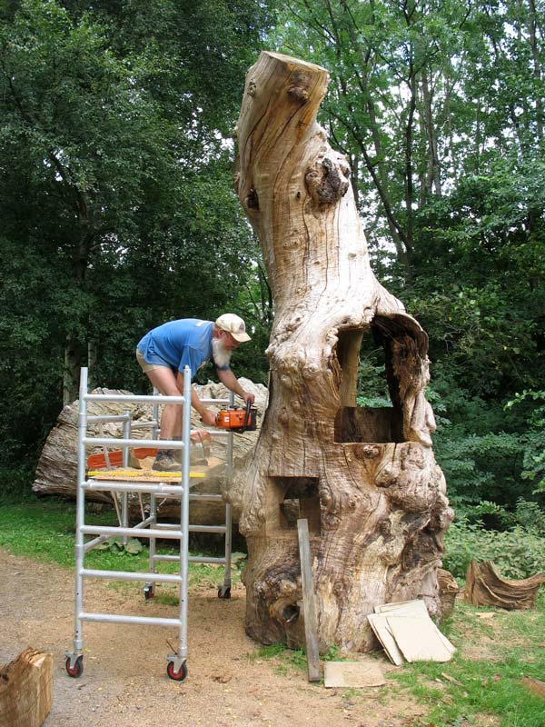 Binnenkant : De boekenboom in Ruurlo