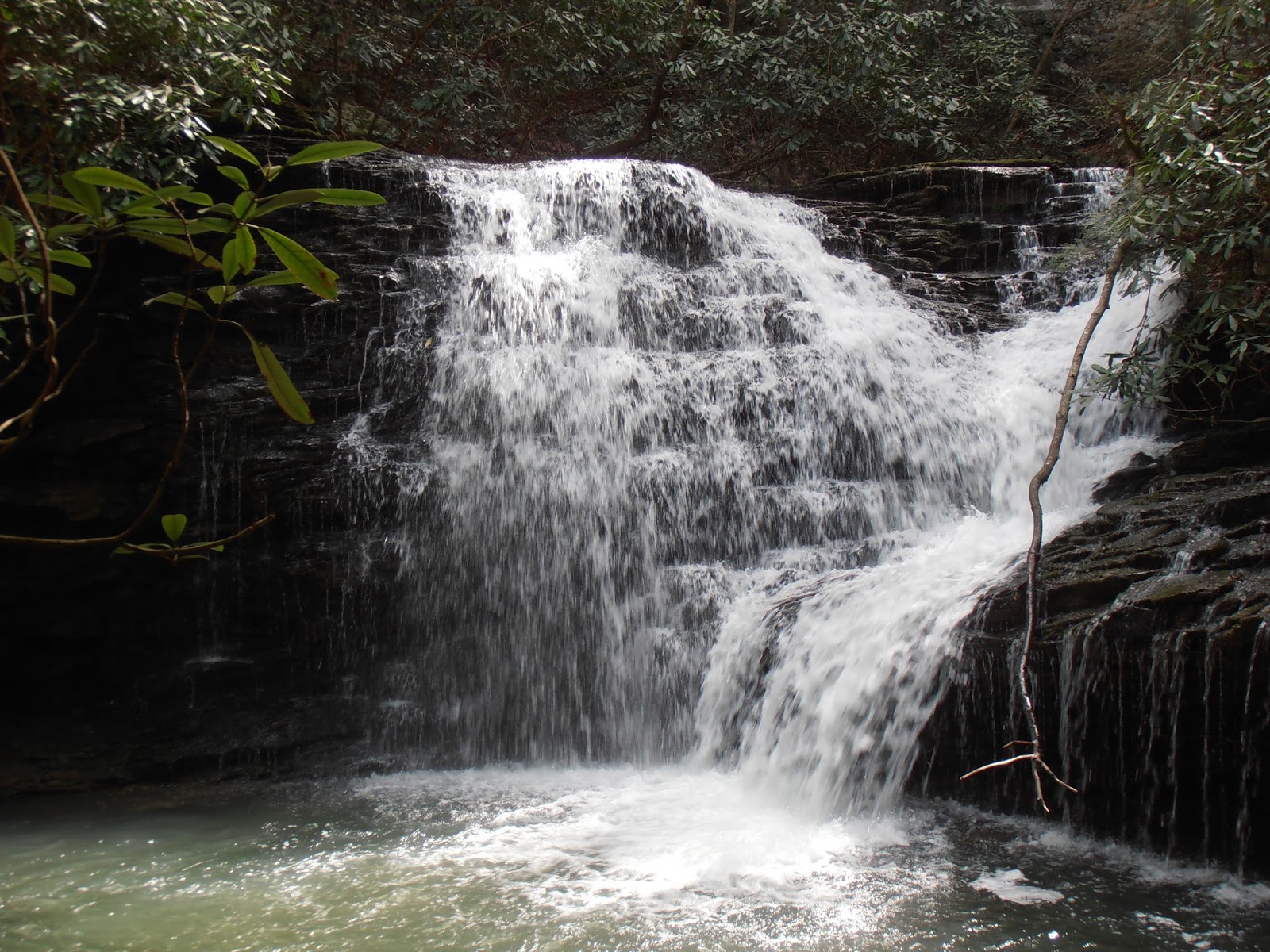 American Travel Journal: Bridge Trail - Obed Wild & Scenic River