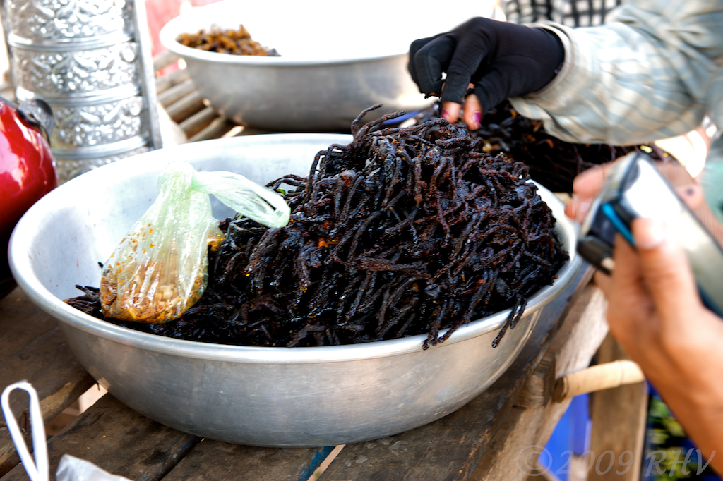 Brits in the USA: S is for Spider