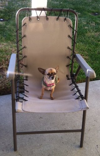 bailey unleashed .com: edith ann