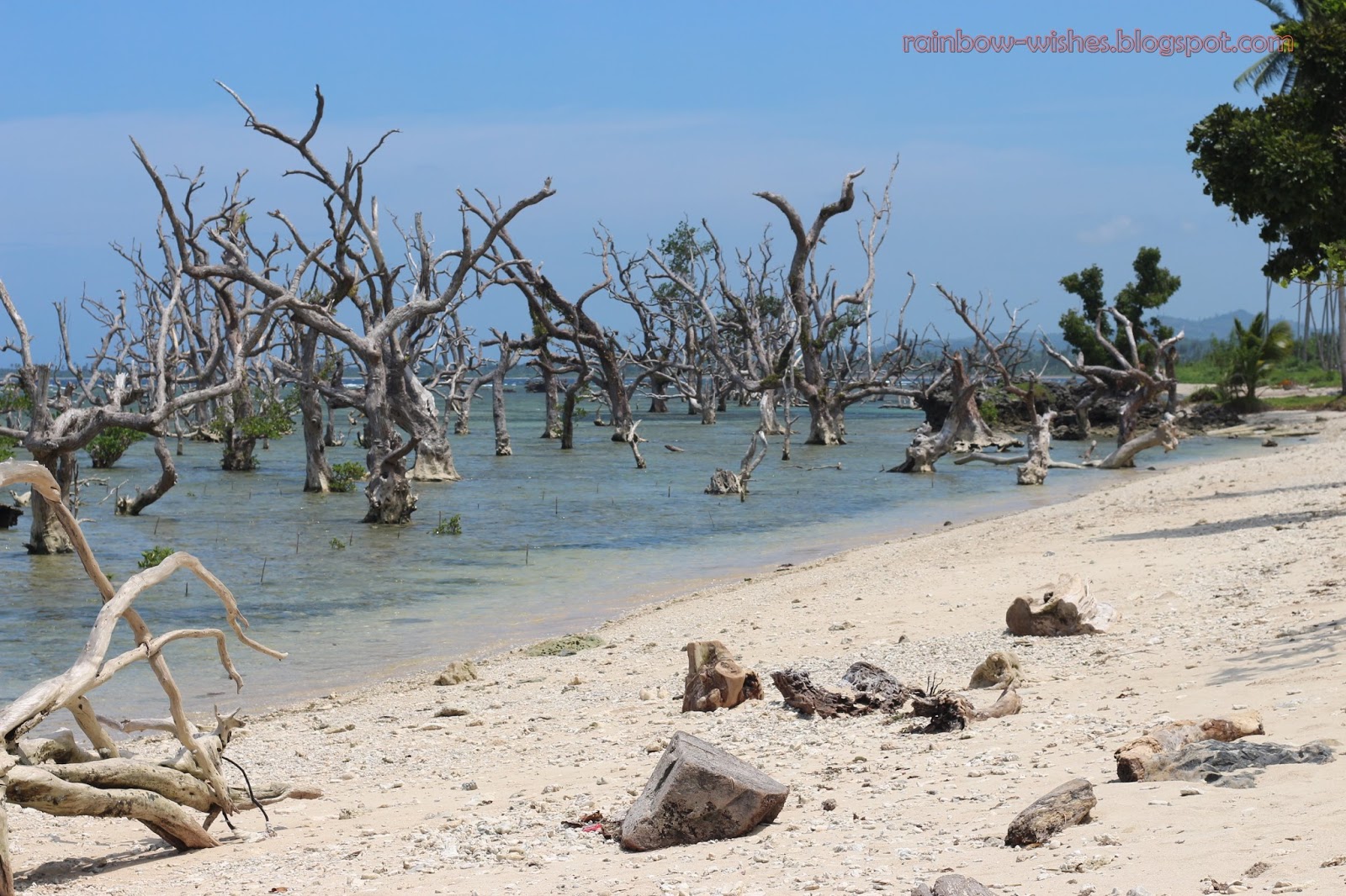 Sweet Escape: exploring Baganga, Davao Oriental - My Notebook