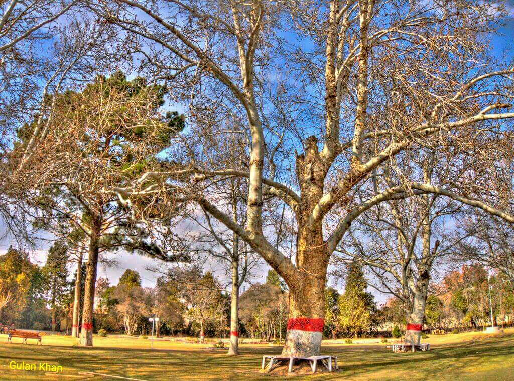 Best places to visit in Pishin Valley Balochistan - Trango Tours