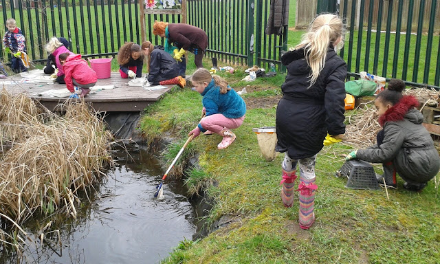 School pond at Spring Gardens