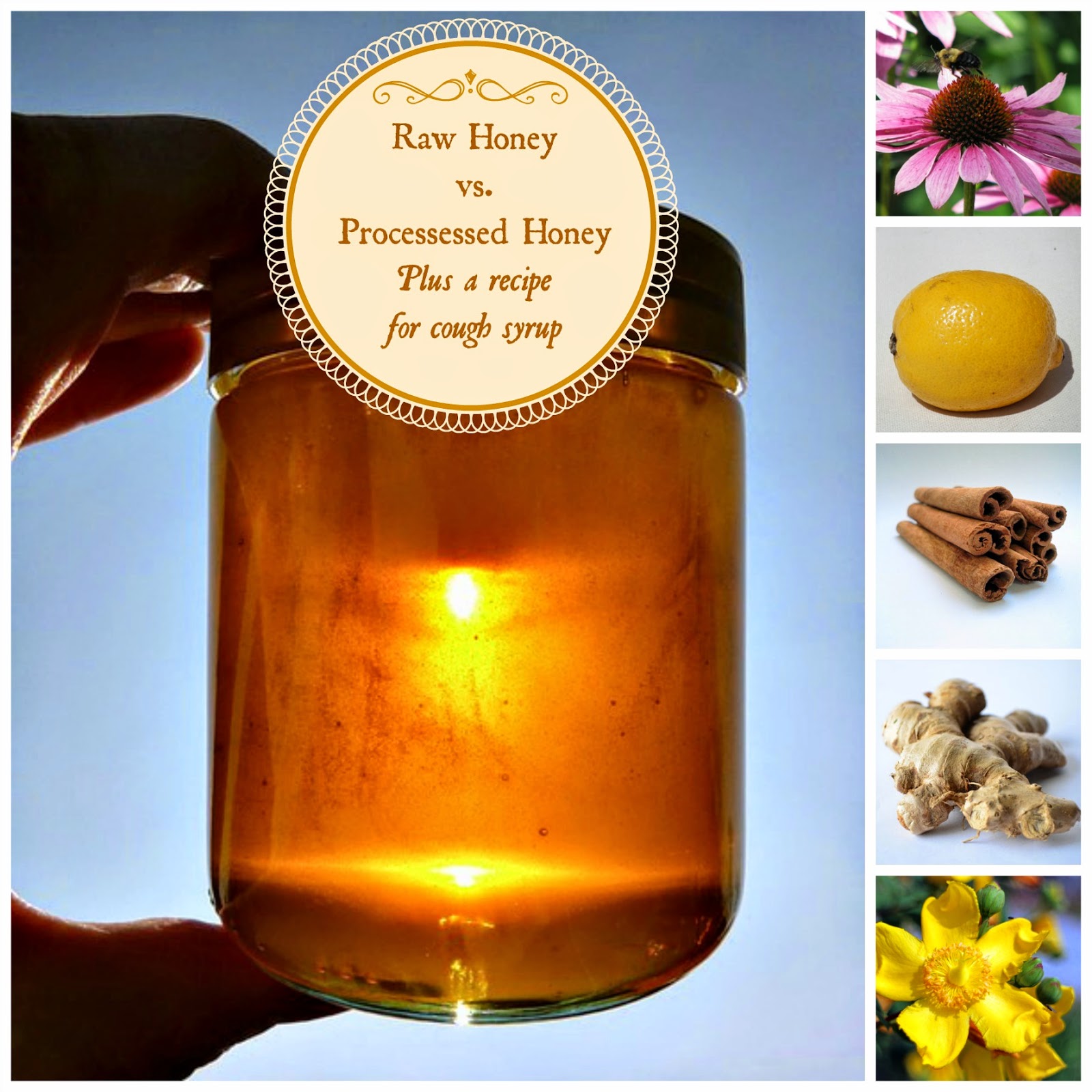 Estle Schipp Farm : Raw Honey versus Processed Honey Plus a Recipe for ...