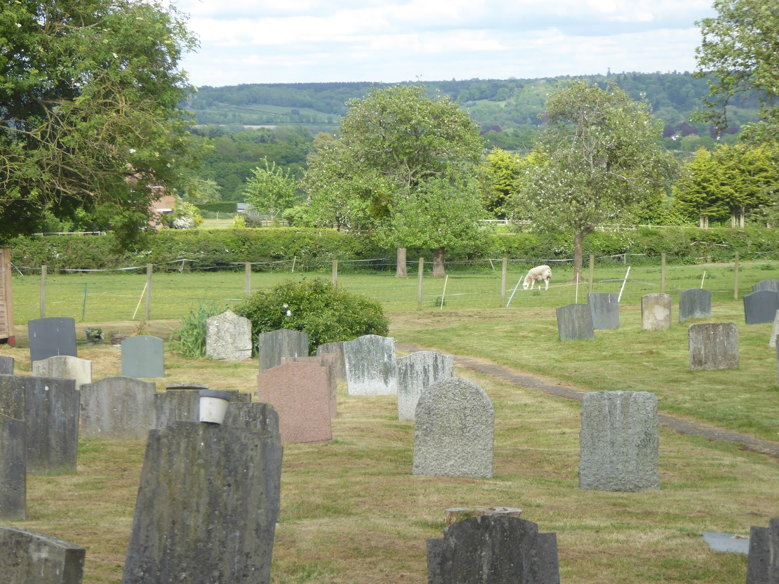 Caroline Gill: Poetry and Other Writing: Cookham Festival Launch of ...
