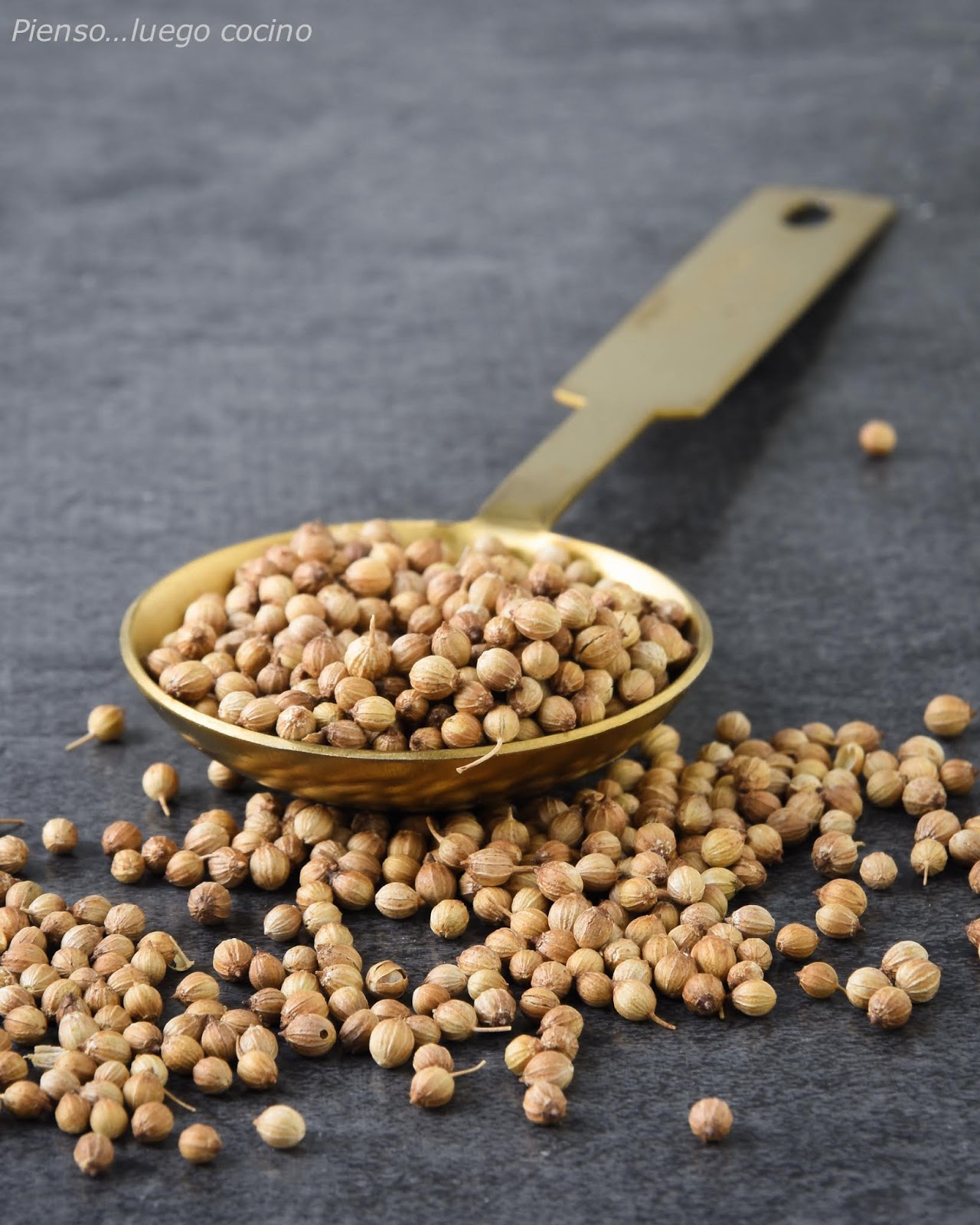 Pienso...luego cocino: Semillas de cilantro