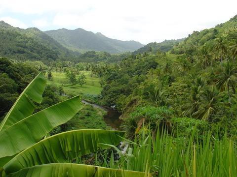 Pagua River Valley Dominica ~ Entertainment-Enter