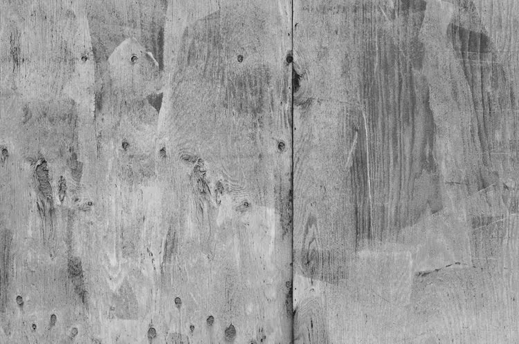 travis markel [photographer]