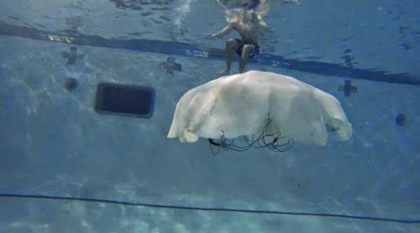 Riverwood Robots: ROBOTS: What is “Cyro – the Robotic Jellyfish”?