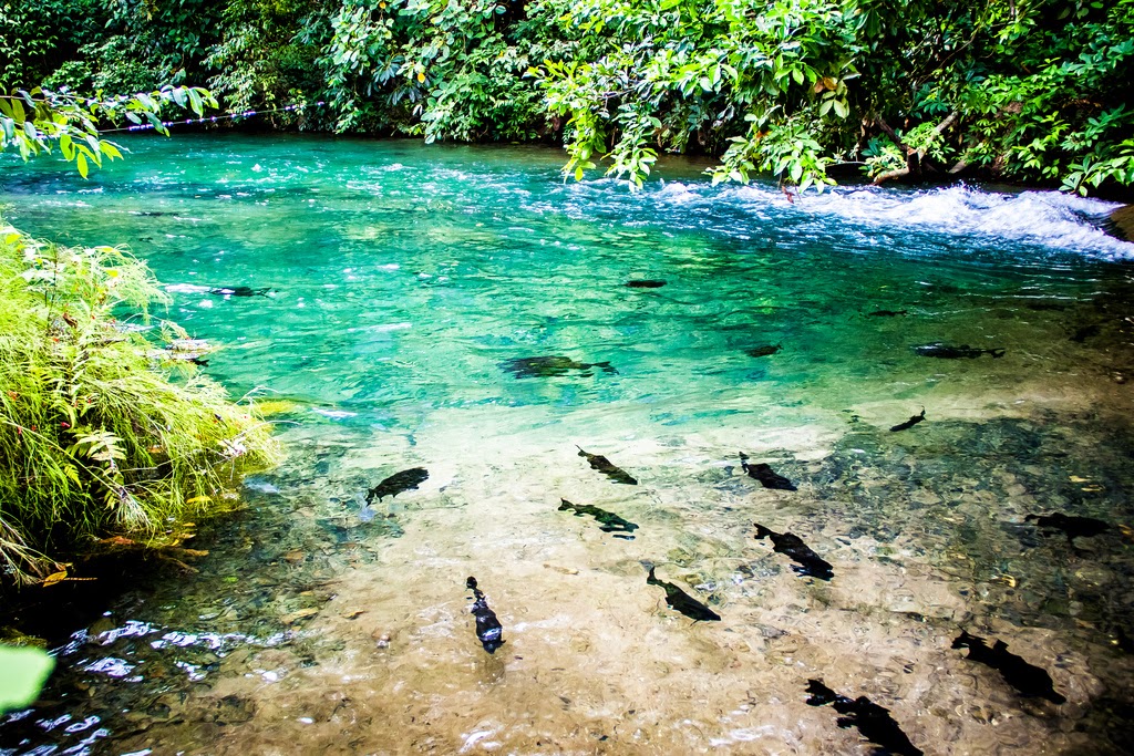 DISCOVER THE BRAZIL: Hot Springs in Goiás - Brazil