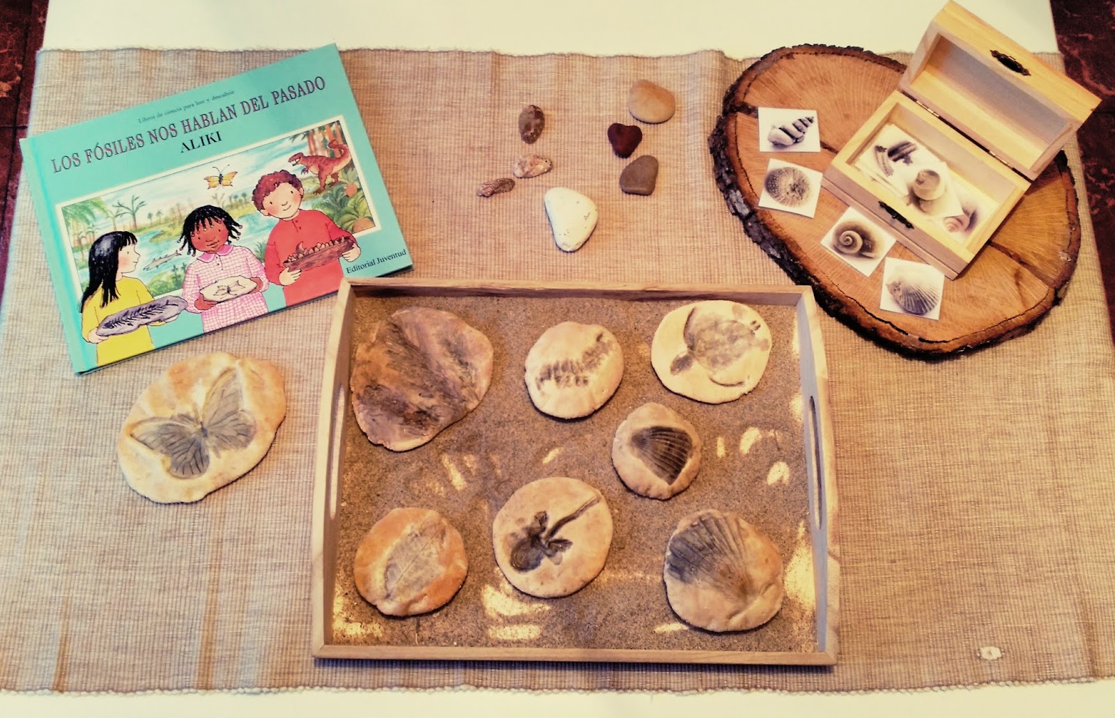"Fósiles"... Libro y propuesta de actividad