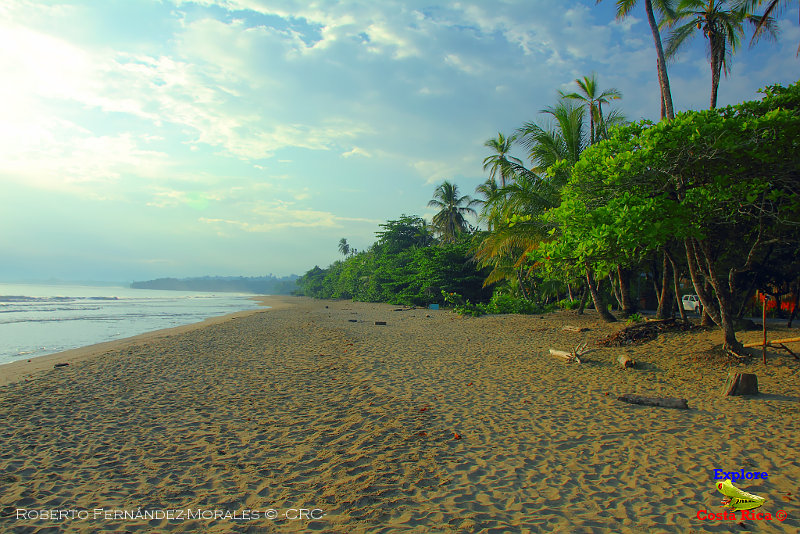 Playa Cocles de Limón | Explore Costa Rica