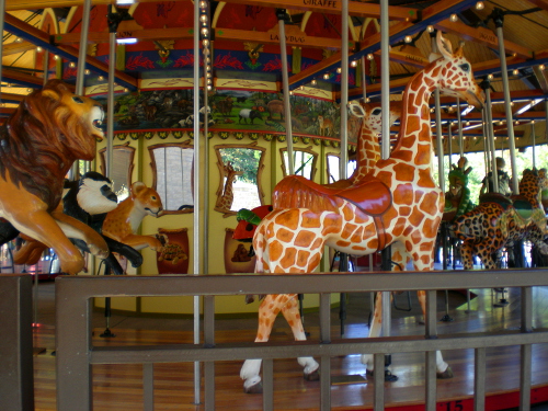 The Crooks in the Lot: Hogle Zoo