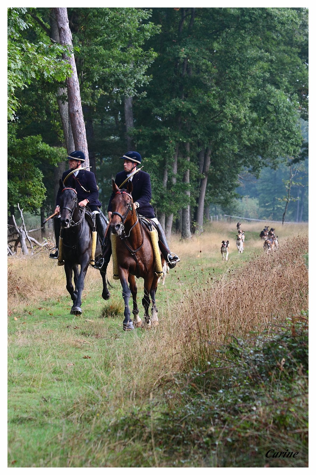 Nature et Vénerie - Carine Thouvenin (Lumiixx): Chasse à Courre avec l ...