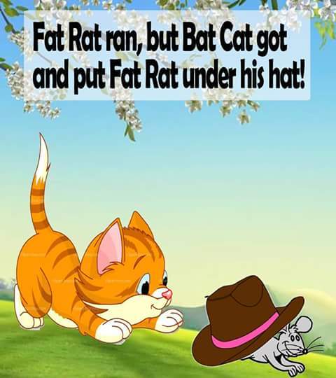Teacher Fun Files: Bat Cat and Fat Rat