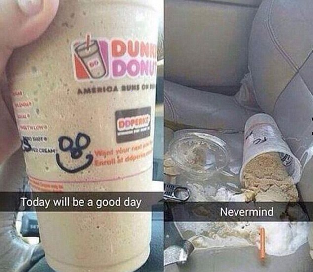 Reddit users who are having a bad day share funny photos
