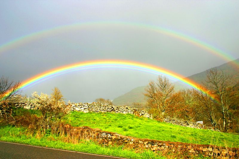 purpura: LA LEYENDA DEL ARCO IRIS