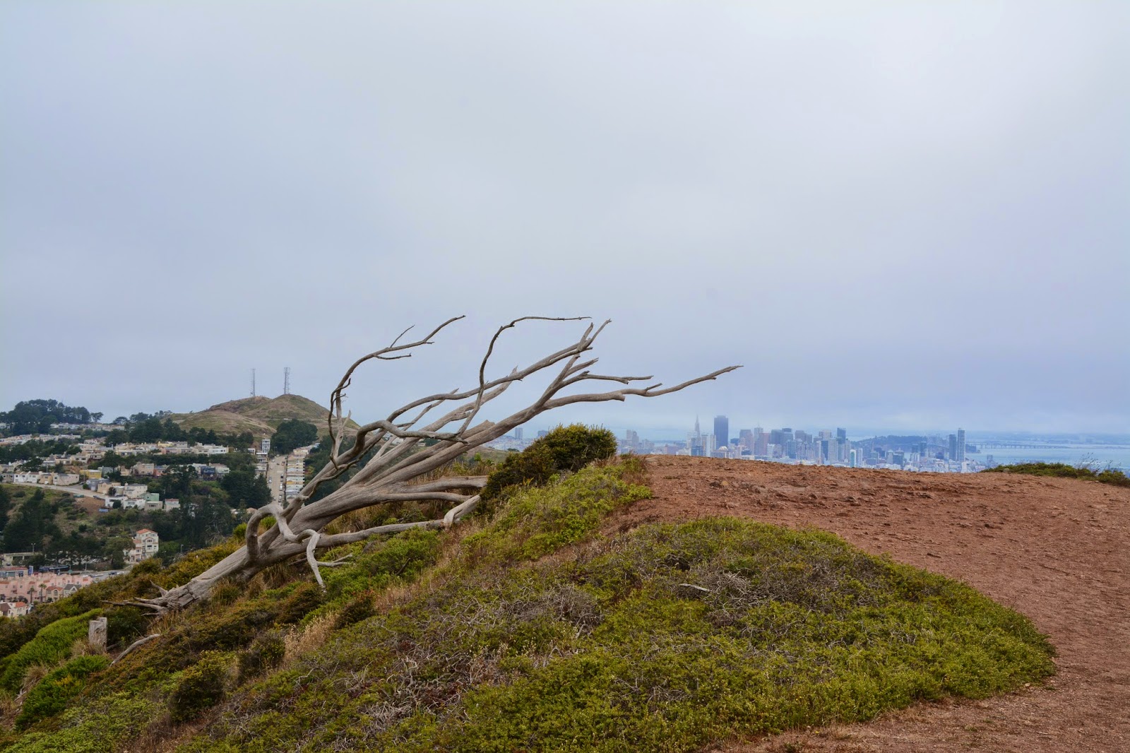 Mt. Davidson - San Francisco, CA