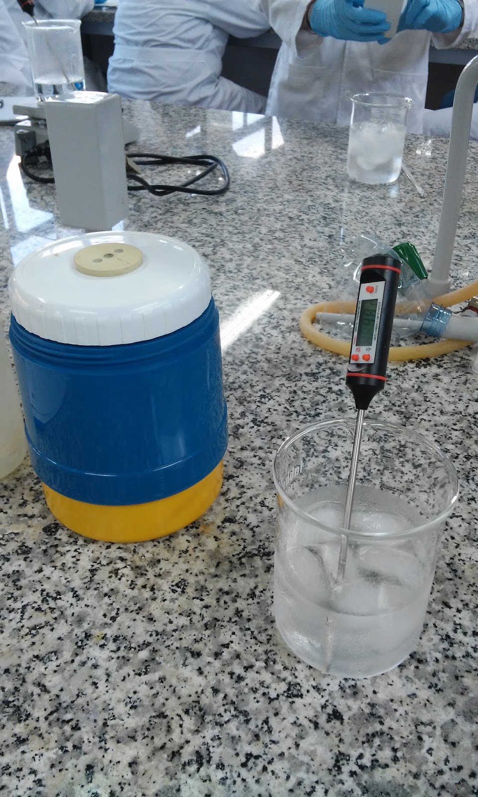 Ensayos fisico-quimicos - Lidia Fernandez Garcia: ACTV45: MANEJO DE ...