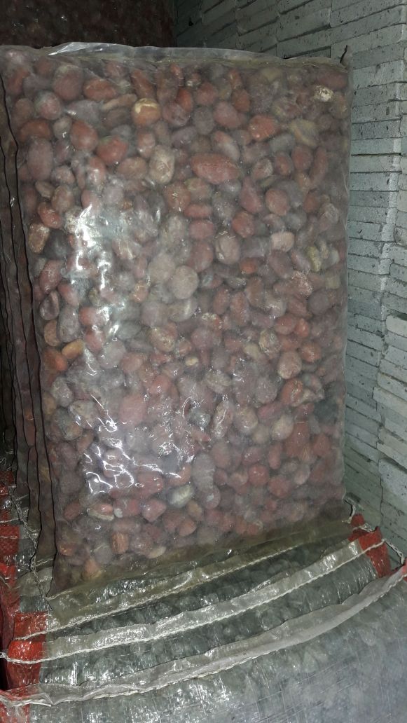 Jual Batu Koral - Mandiri Alam