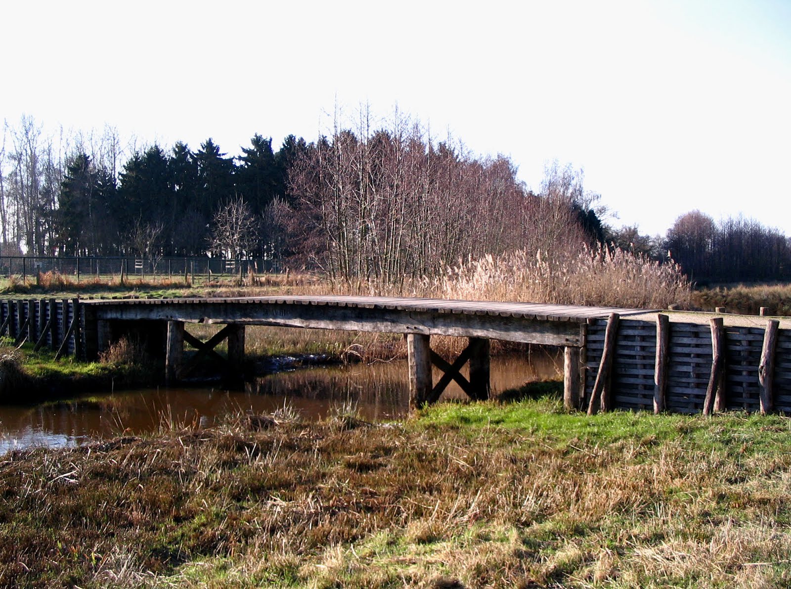 Weert en natuur: Ommetje Romeinse brug
