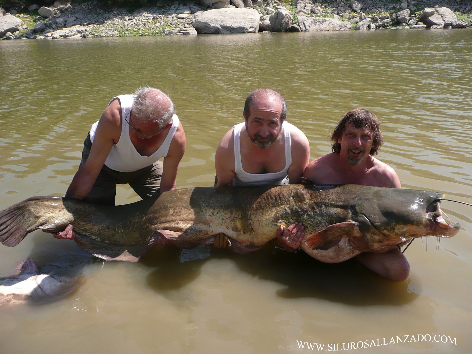 PESCA DEL SILURO EN EL EBRO: PESCA GUIADA DEL SILURO - NUEVO RECORD ...