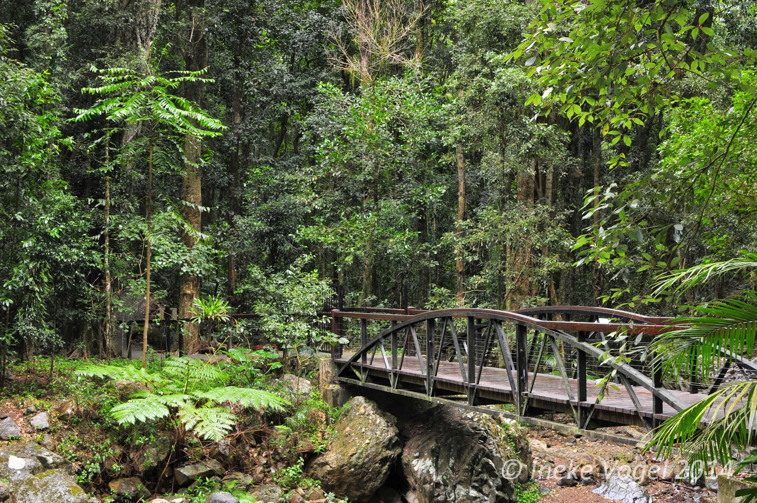 Australian waterfalls: Natural Bridge - Queensland