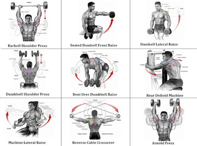 full shoulder workout