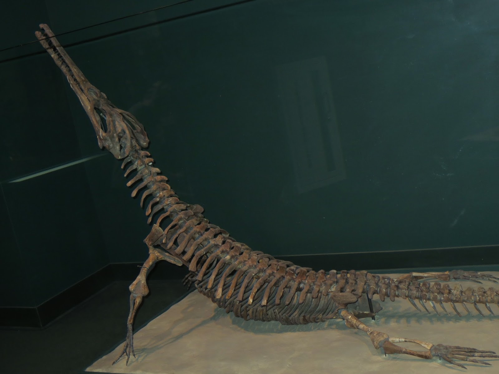 Equatorial Minnesota: Year One of The Compact Thescelosaurus (now with ...