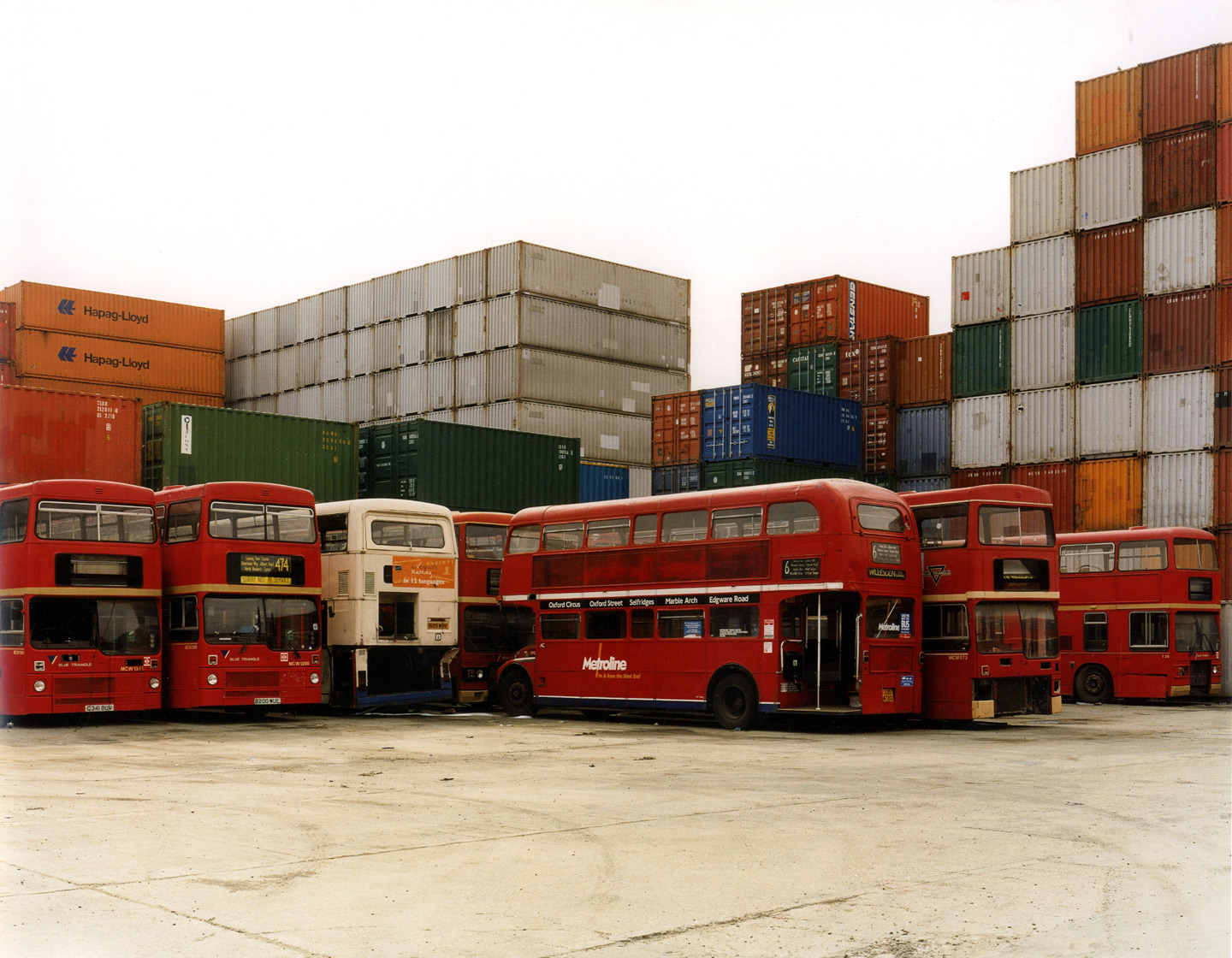 Lyssa humana: Photographer: Mark Power