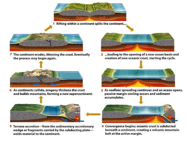 JAVICIENCIAS: CICLO DE WILSON