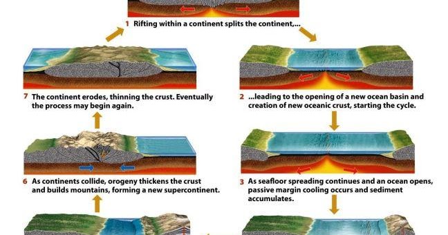 JAVICIENCIAS: CICLO DE WILSON