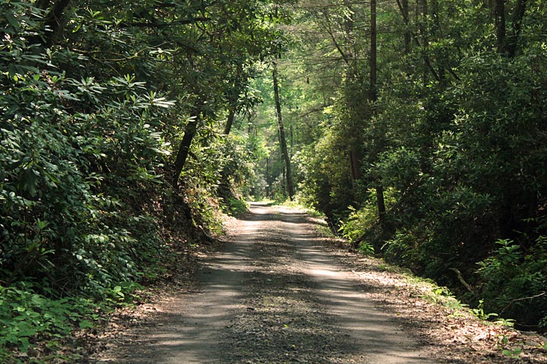 JOYFUL REFLECTIONS: Parson Branch Road in the Smokies--Part I