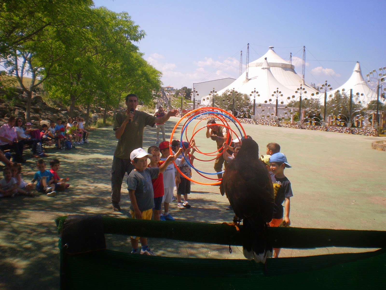 Mi blog de infantil 3 4 5: Excursión al zoo de Guillena