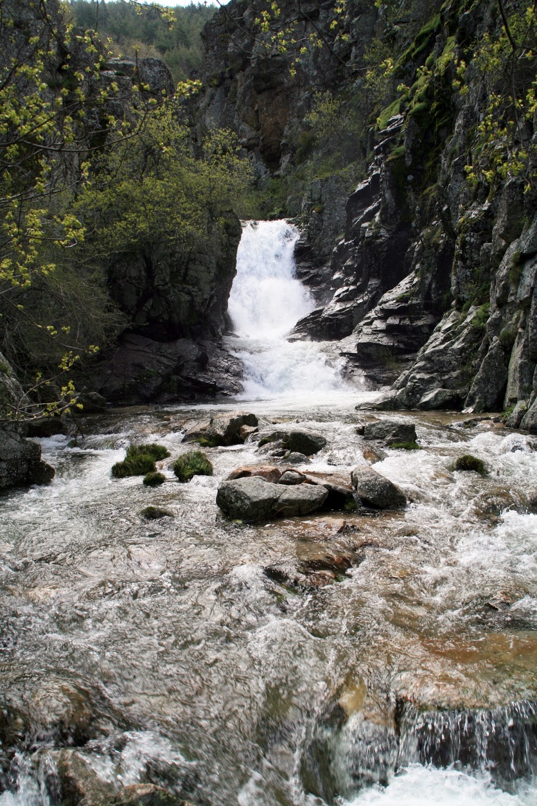 Biología y Geología de 4º ESO: Por el curso alto del río Lozoya