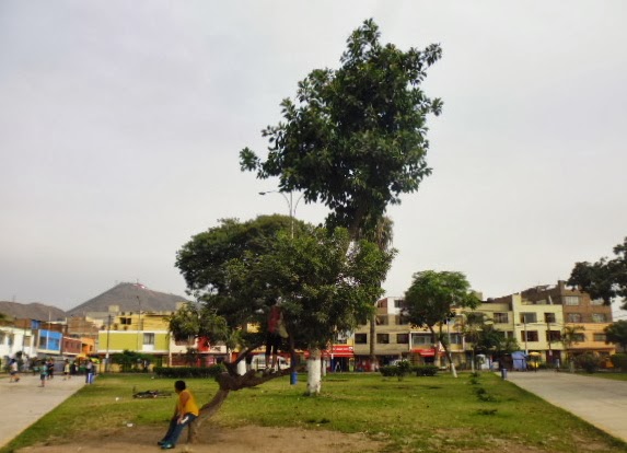LUGARES TURÍSTICOS EN PERÚ: PARQUE DEL AVIÓN (EL RÍMAC)
