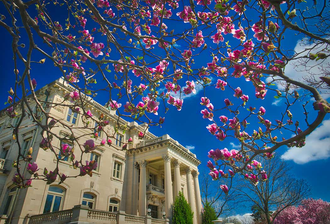 Hyperblogal: Kansas City Museum In Spring Finery