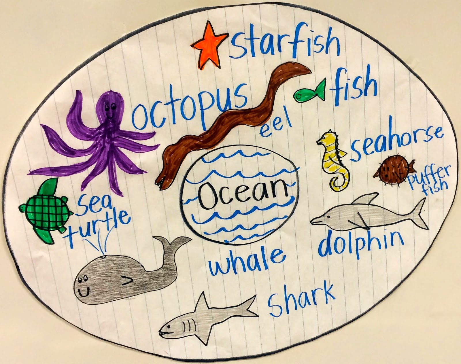 Splendor in Kinder: Ocean Animals: Circle Map and Sorting