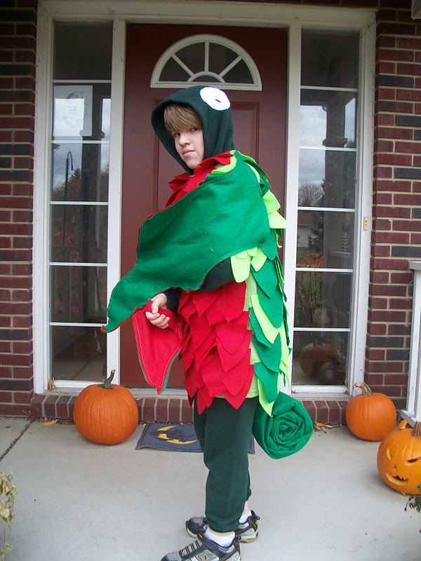 Pams Party & Practical Tips: Flying Chameleon Costume