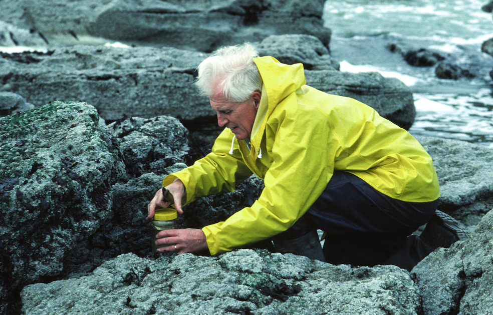 Mick's marine biology: Ben Otten (1923-2012): instigator of my love for ...