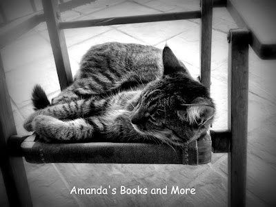 More Great Photos and Linky! ~ Amanda's Books and More