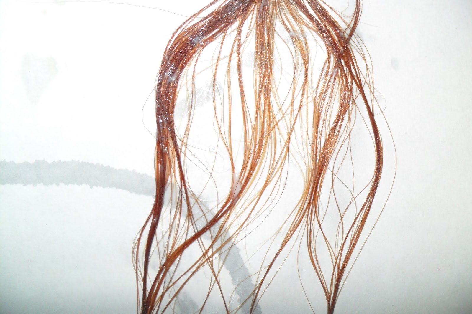 Bleach Your Hair, Strand Test