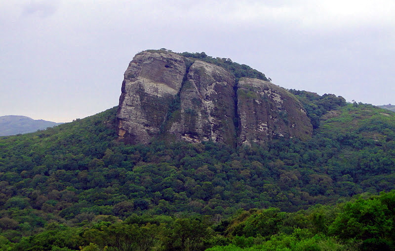 FLORA AUSTRAL: PEDRA DO SEGREDO, CAÇAPAVA DO SUL, RS, BRAZIL