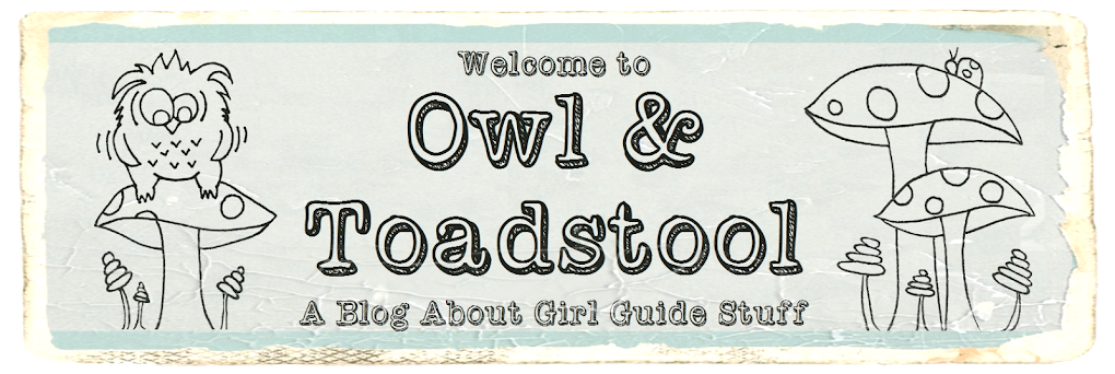 Owl & Toadstool: Sparks Promise minibook