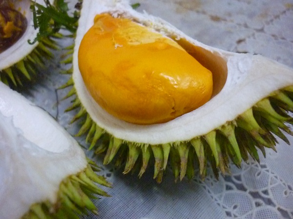 PEZOL STYLEZ: AKU PEMINAT TEGAR DURIAN KUNING