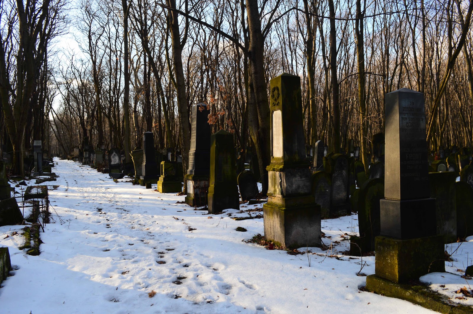 W-wa Jeziorki: A visit to the Jewish cemetery, Warsaw