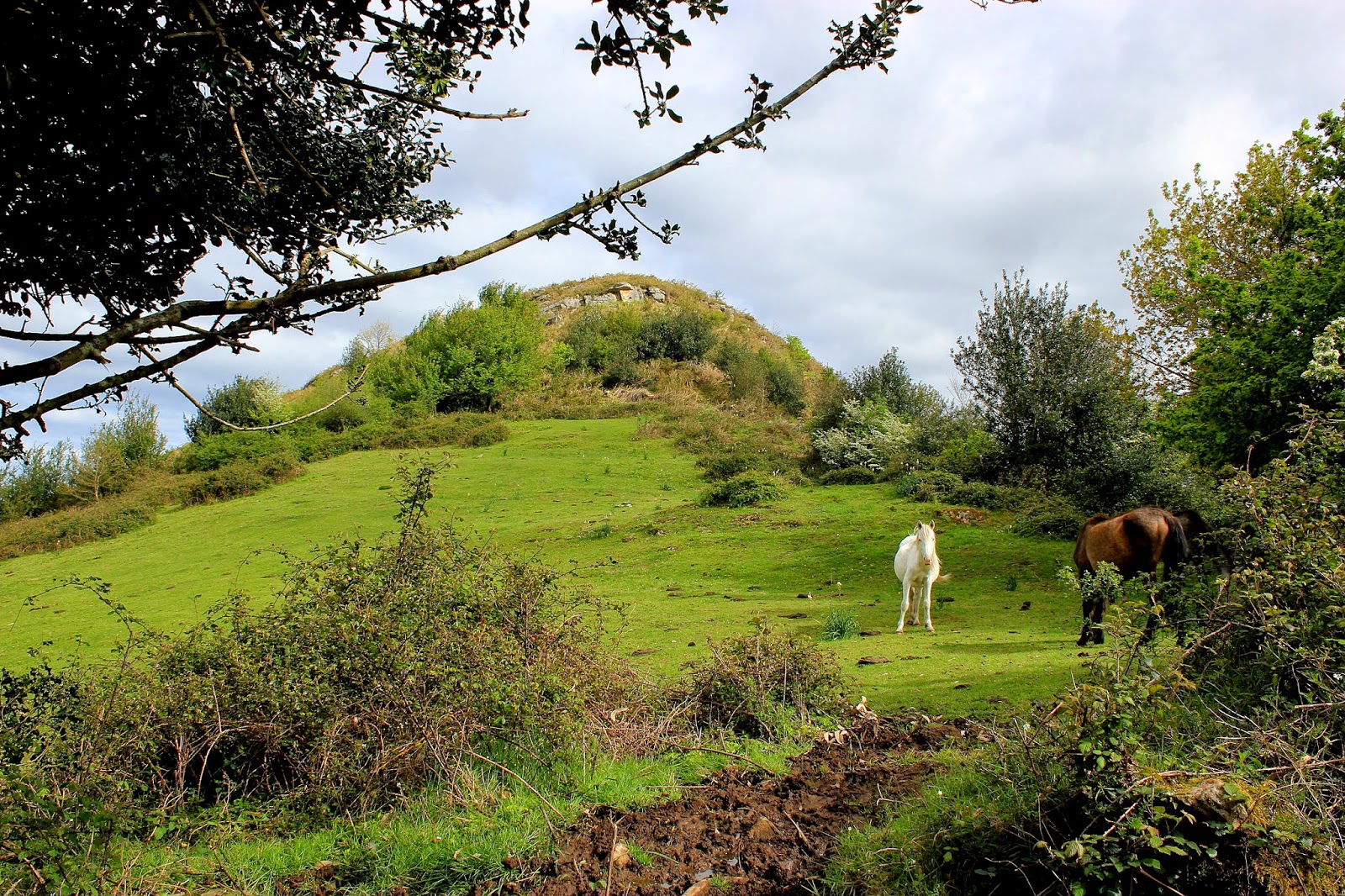 Senderos, montañas y otros entornos: Monte Ibio desde Herrera de Ibio